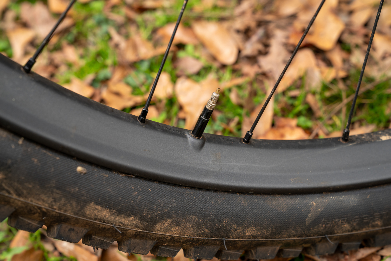 Roval Traverse SL II Stand Up to Alloy-Level Abuse [Review ...