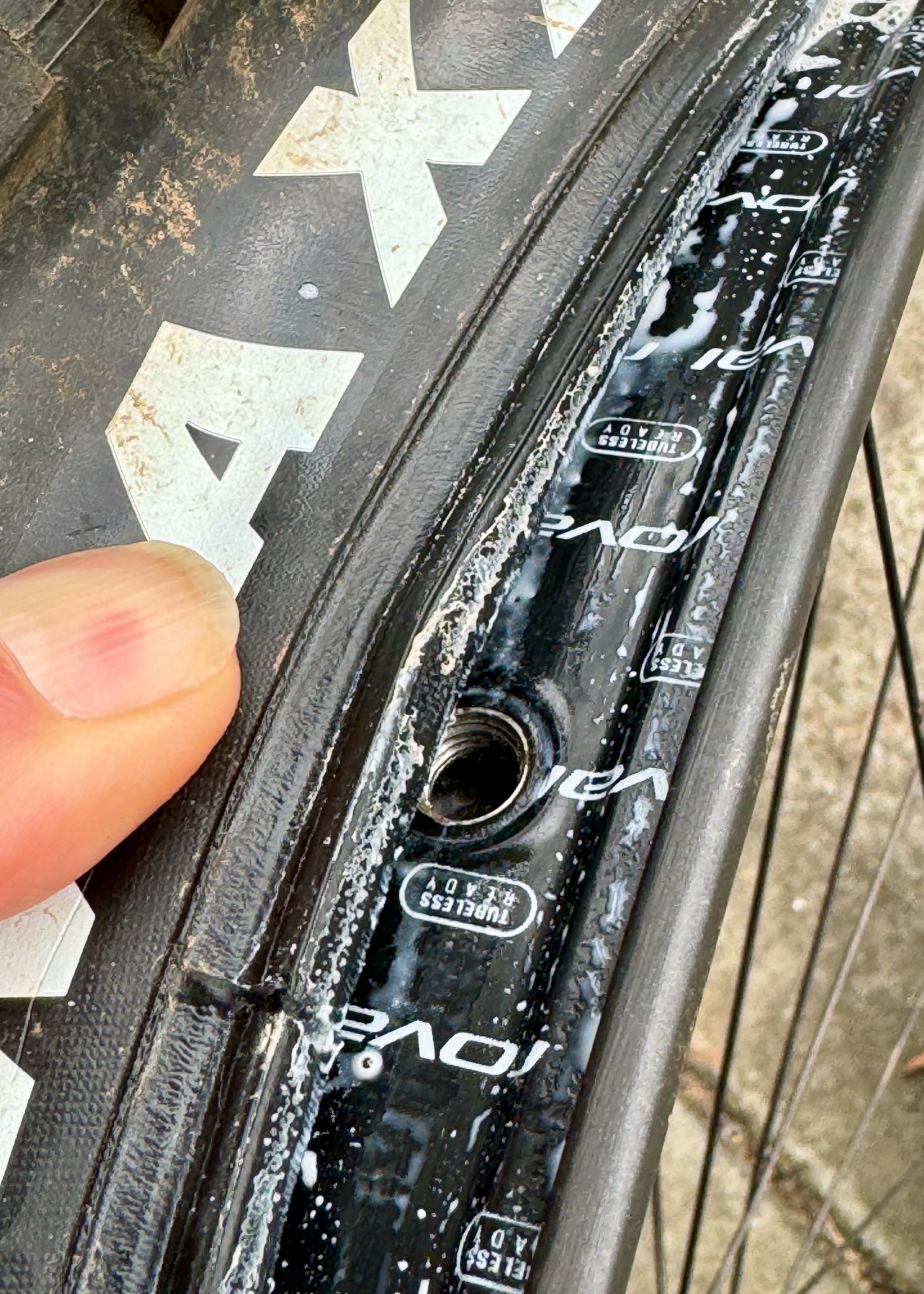 Roval Traverse SL II Stand Up to Alloy-Level Abuse [Review ...