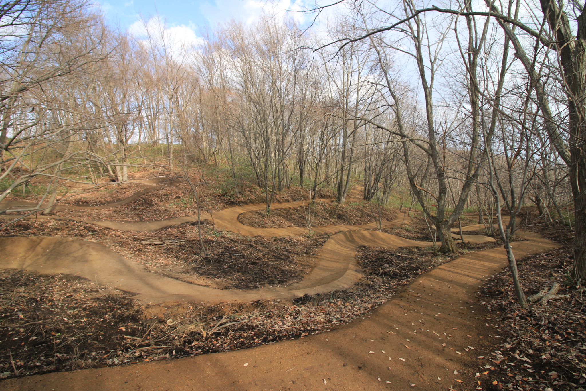 Can Mountain Biking in Japan Reach the Heights of the Country's Ski ...