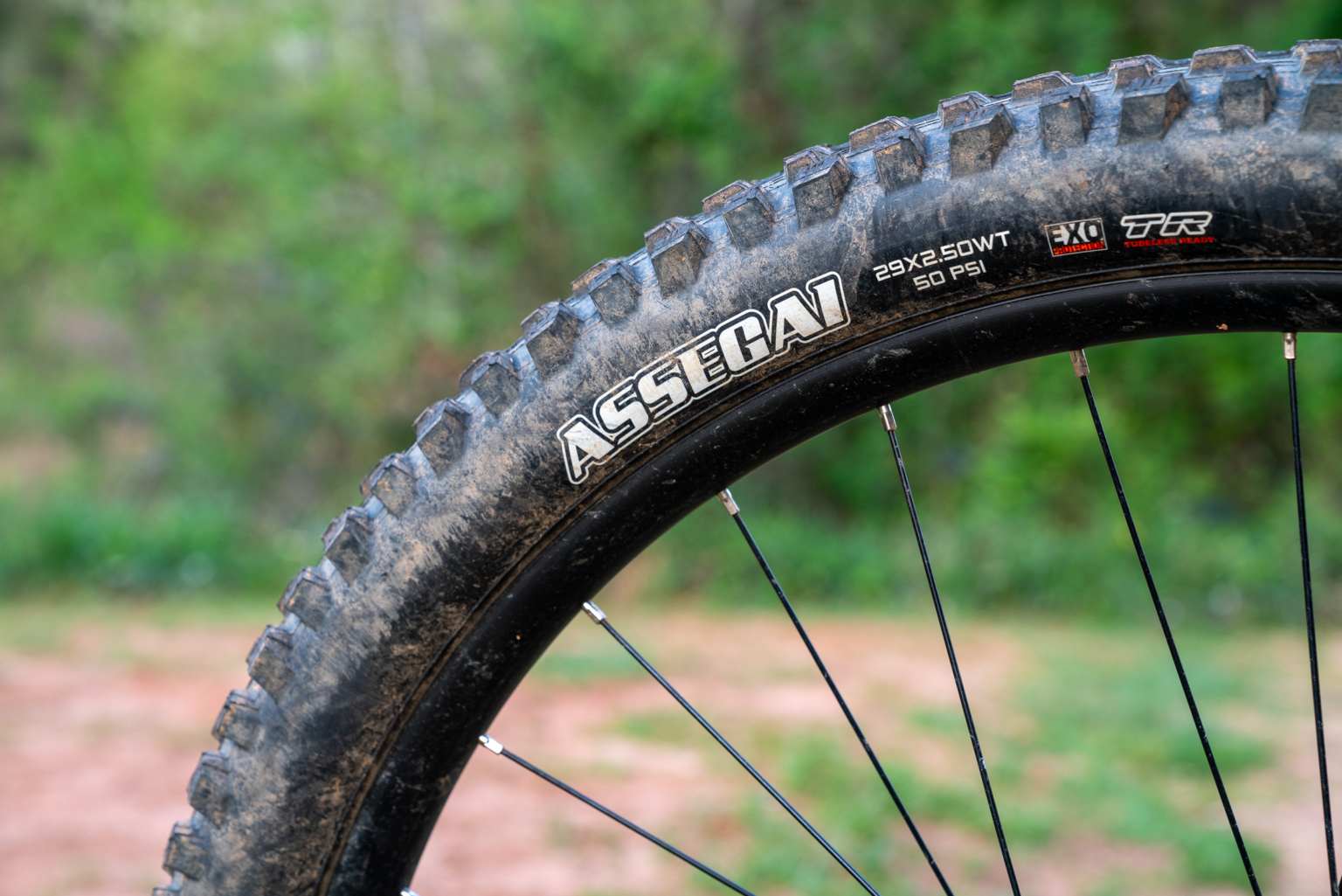 Marin Rift Zone XR Review - Singletracks Mountain Bike News