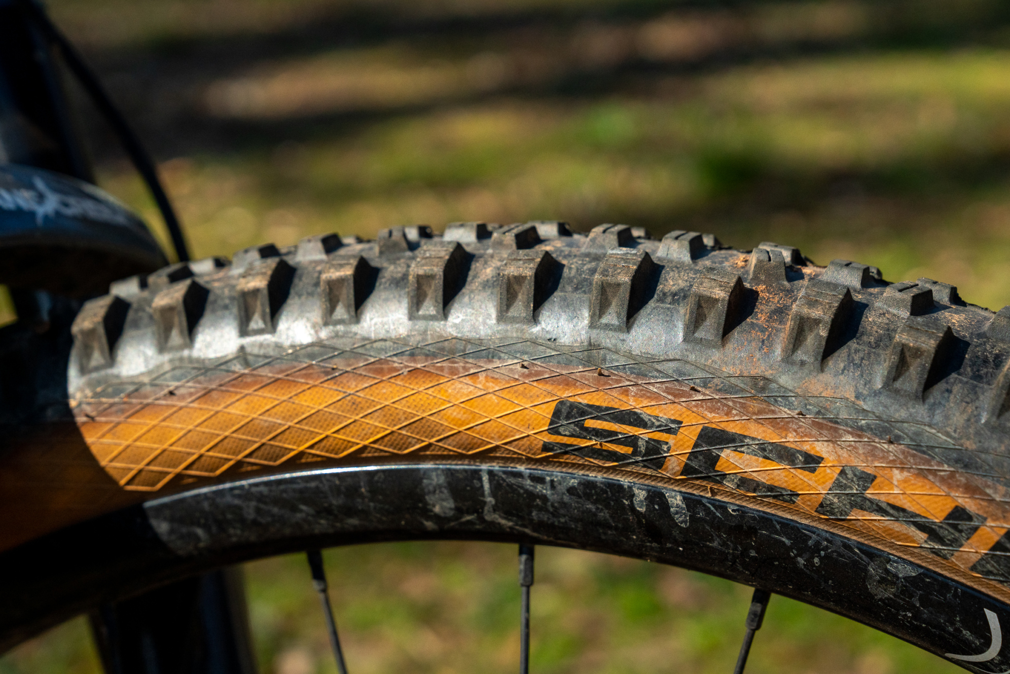 Schwalbe Hans Dampf is a Surprisingly Tough Tire [Review ...