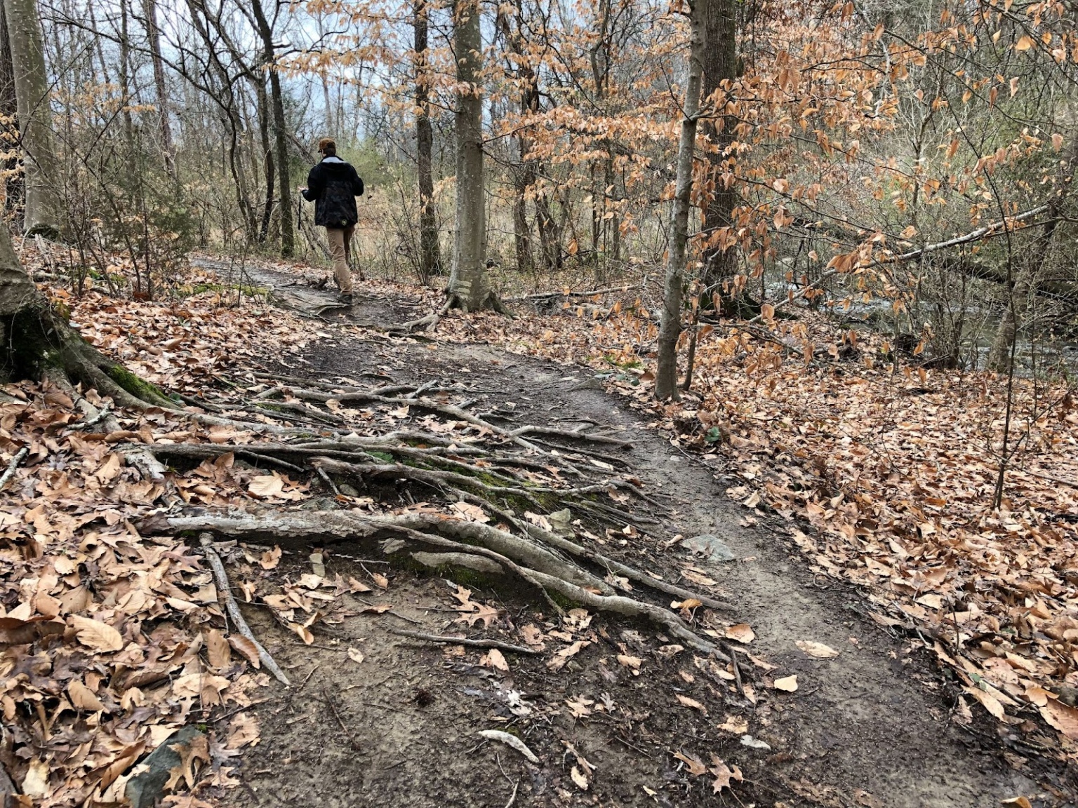 How a North Carolina Community Managed to Build High Quality MTB Trails in a City Park ...