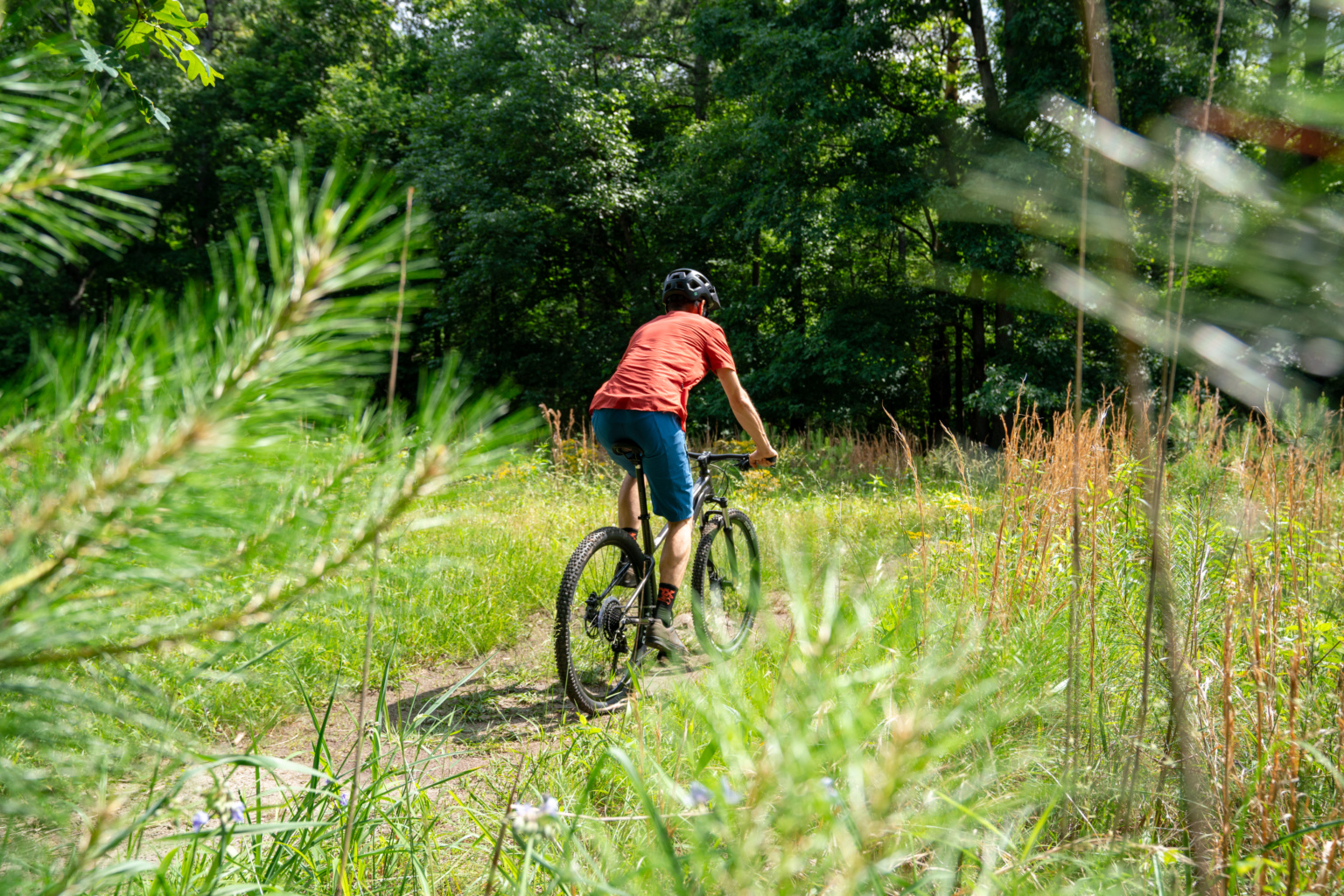 The Mongoose Switchback Expert Mountain Bike [Review] - Singletracks ...