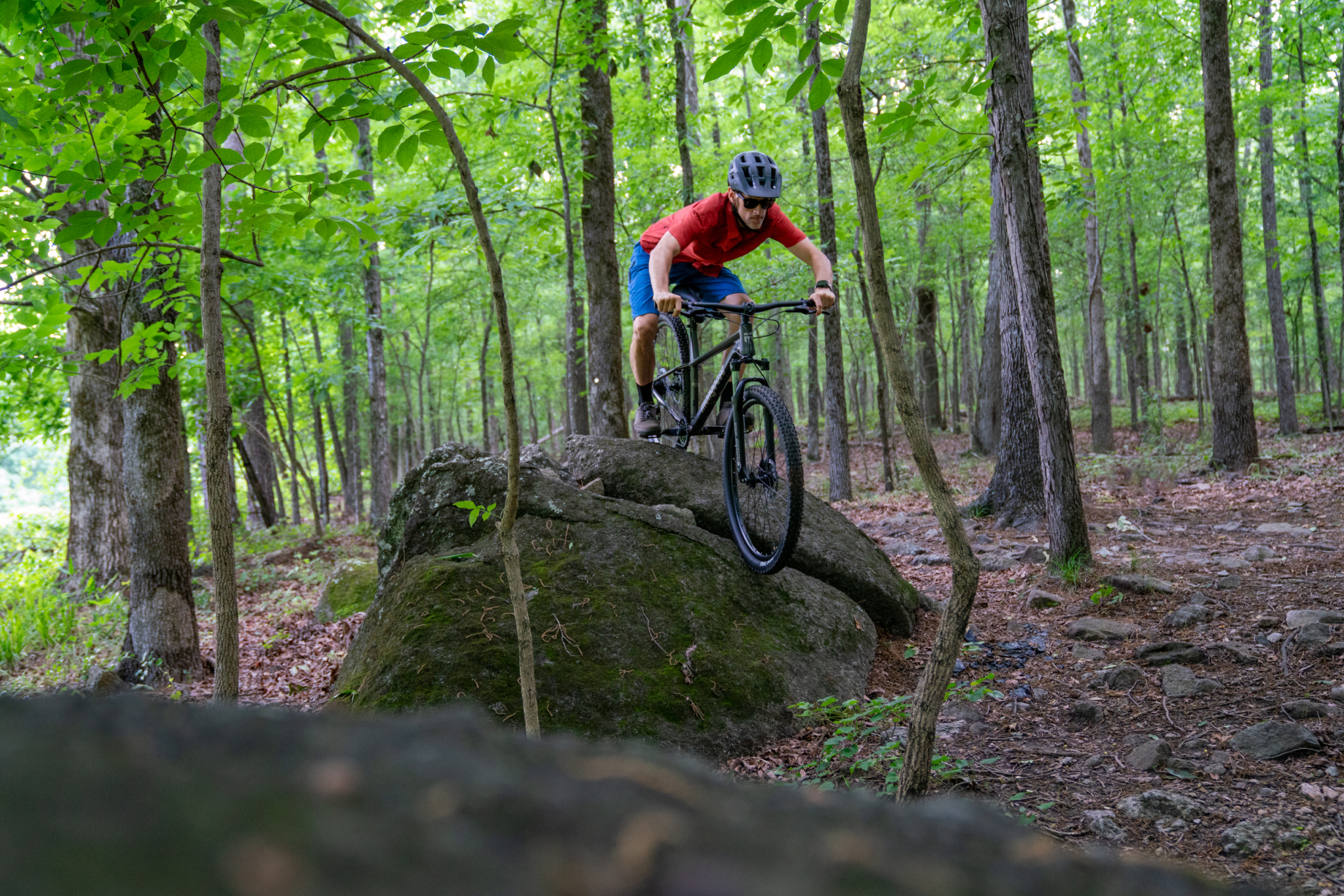 The Mongoose Switchback Expert Mountain Bike [Review] - Singletracks Mountain Bike News