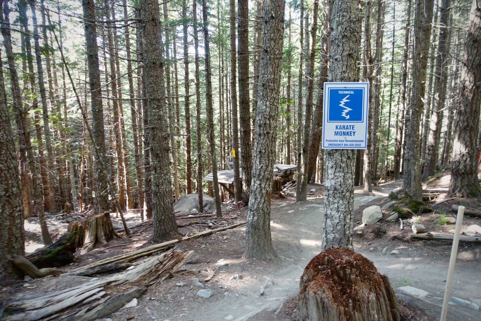 The Inside Story Behind Iconic Whistler MTB Trail Names - Singletracks ...