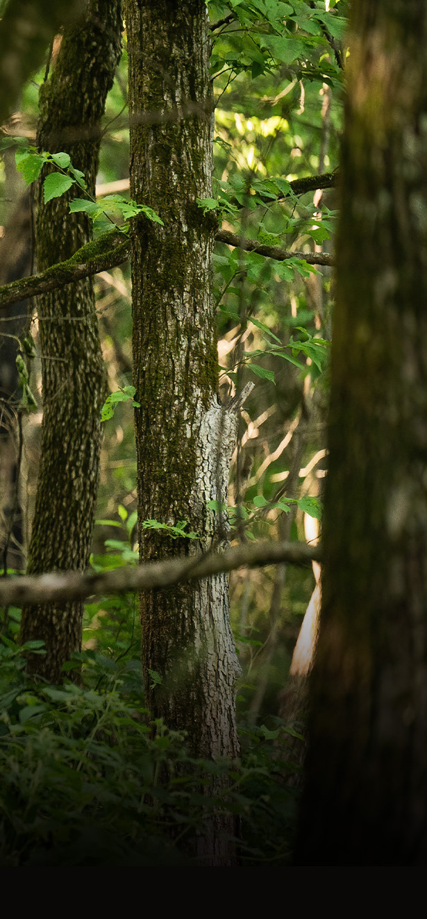 Phil's World Mountain Bike Trail in Cortez, Colorado - Directions, Maps, Photos, and Reviews