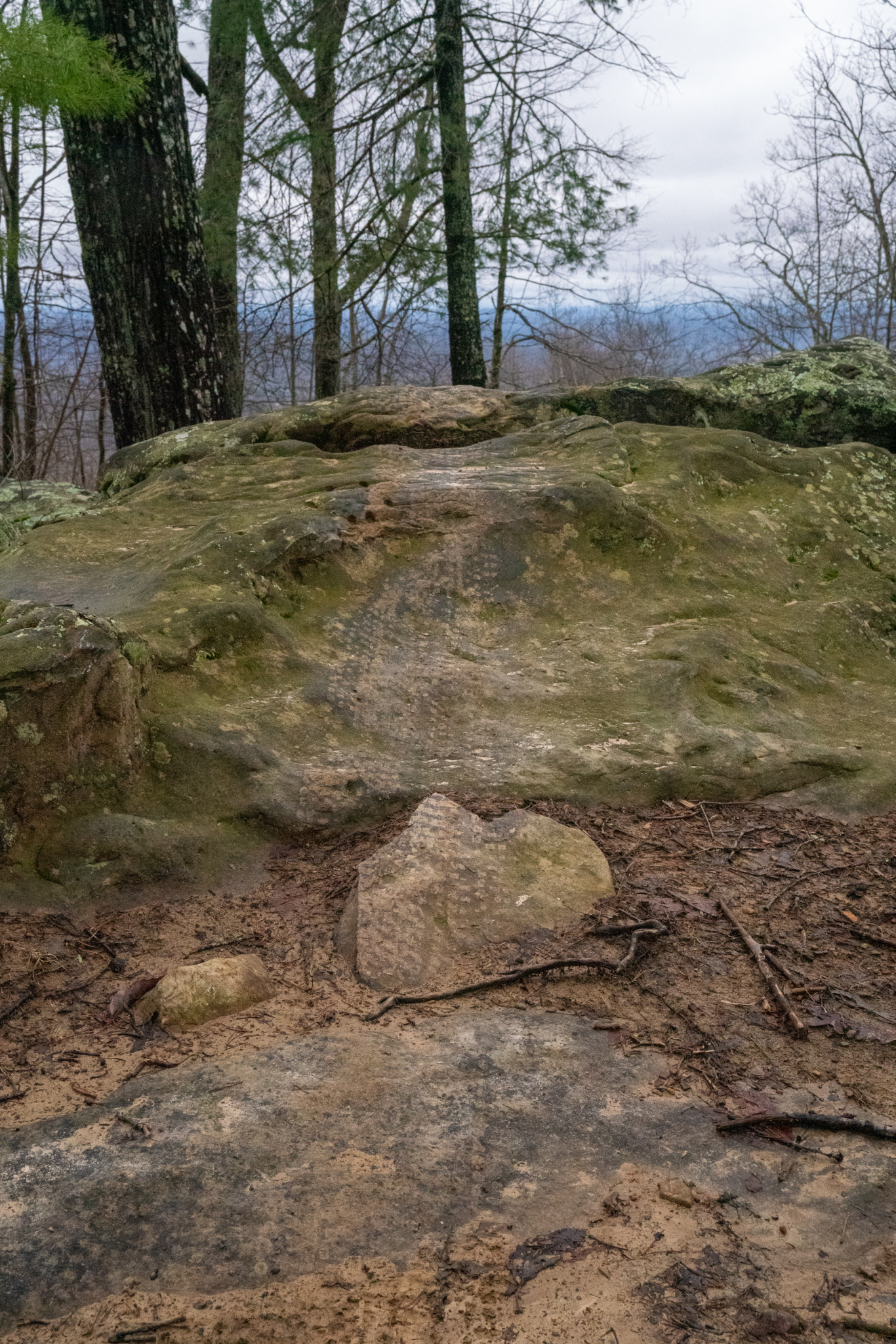 I rode Windrock Bike Park in the rain to see what Aaron Gwin has in ...