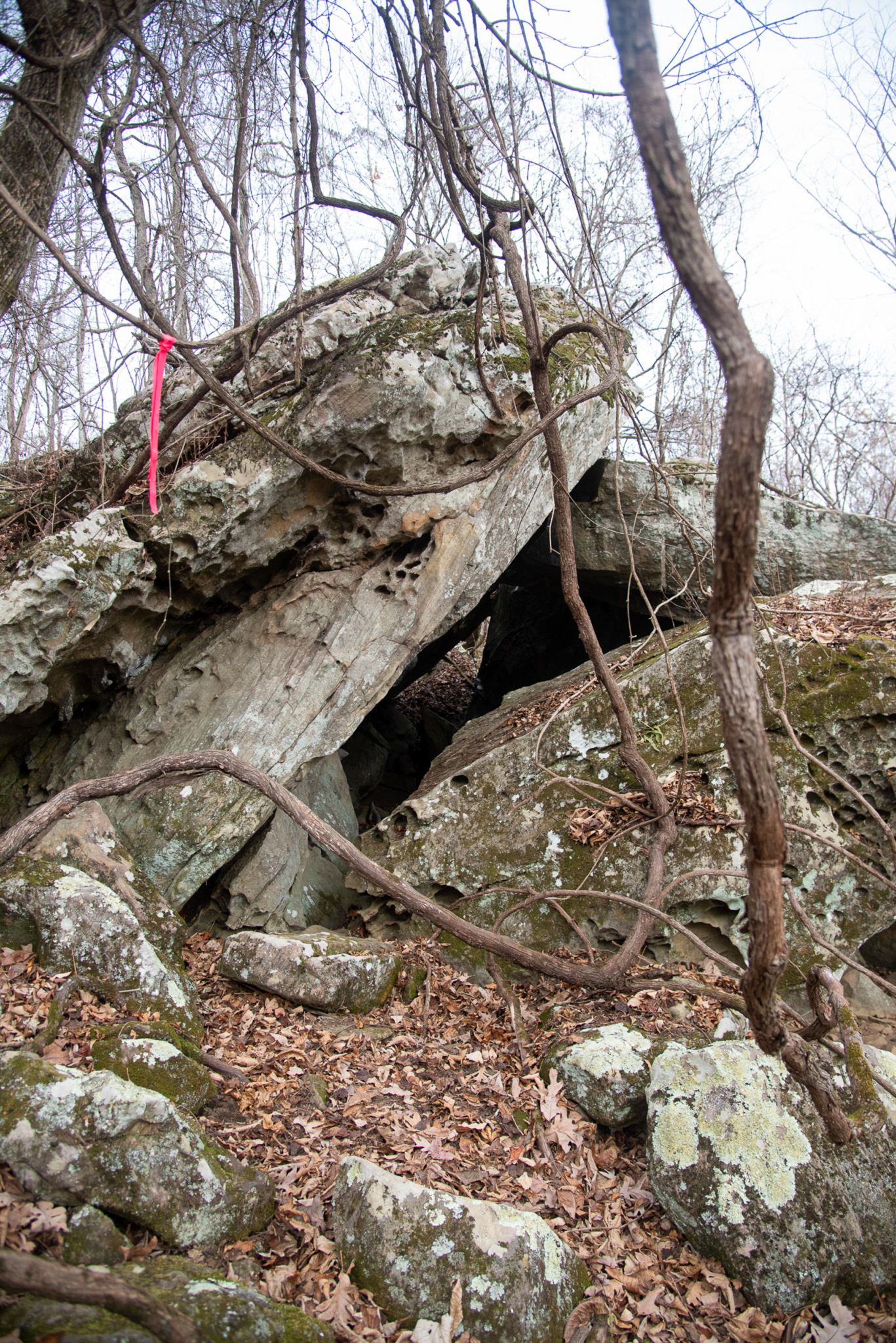 A dude ranch in Arkansas ditched horses for mountain bikes ...