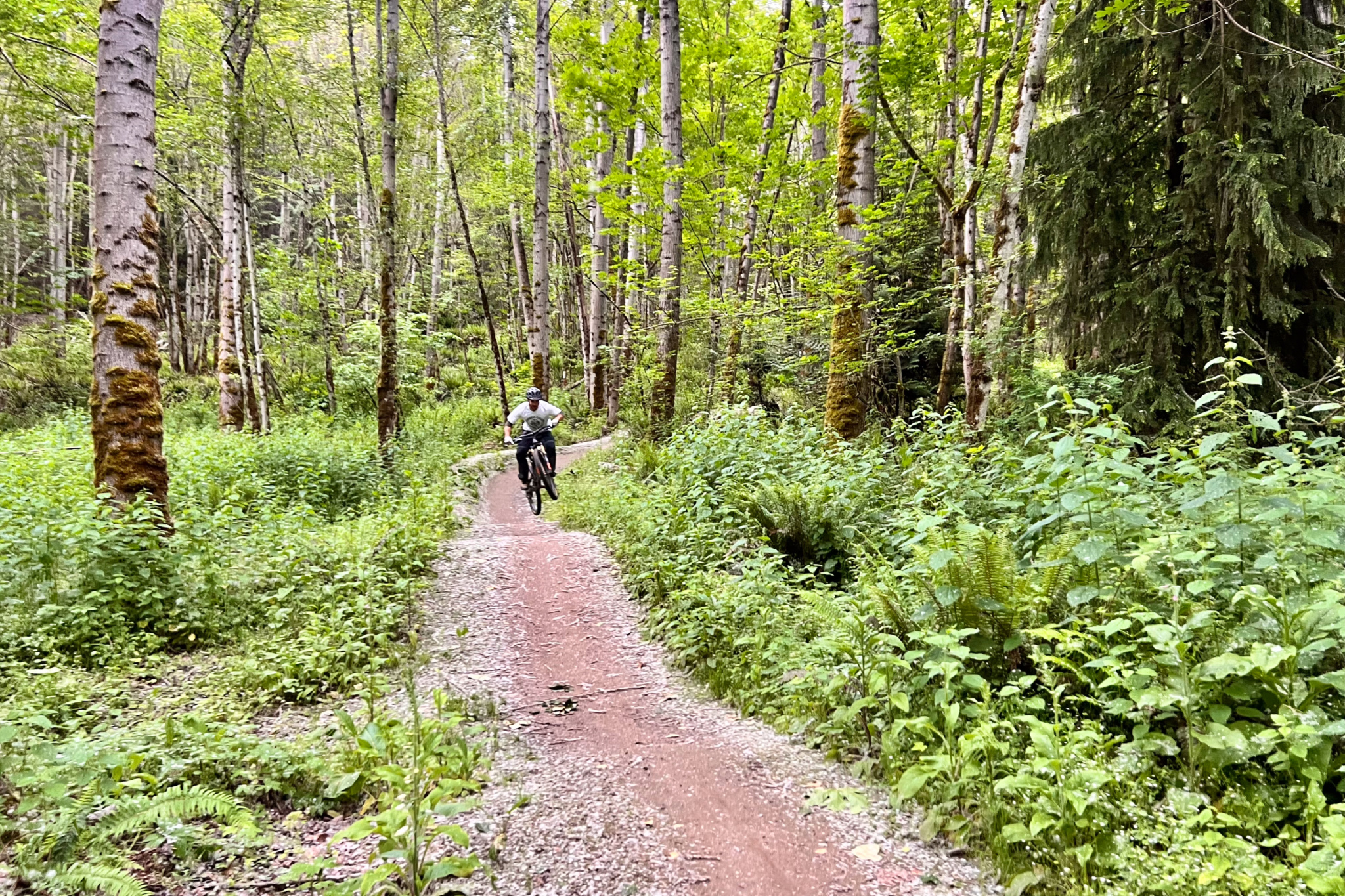 $1.3 million for 6 miles of top-tier trails: The newest county park in ...