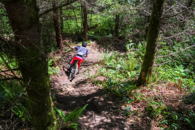 Washington's popular Raging River trail system gets even better with 7 ...