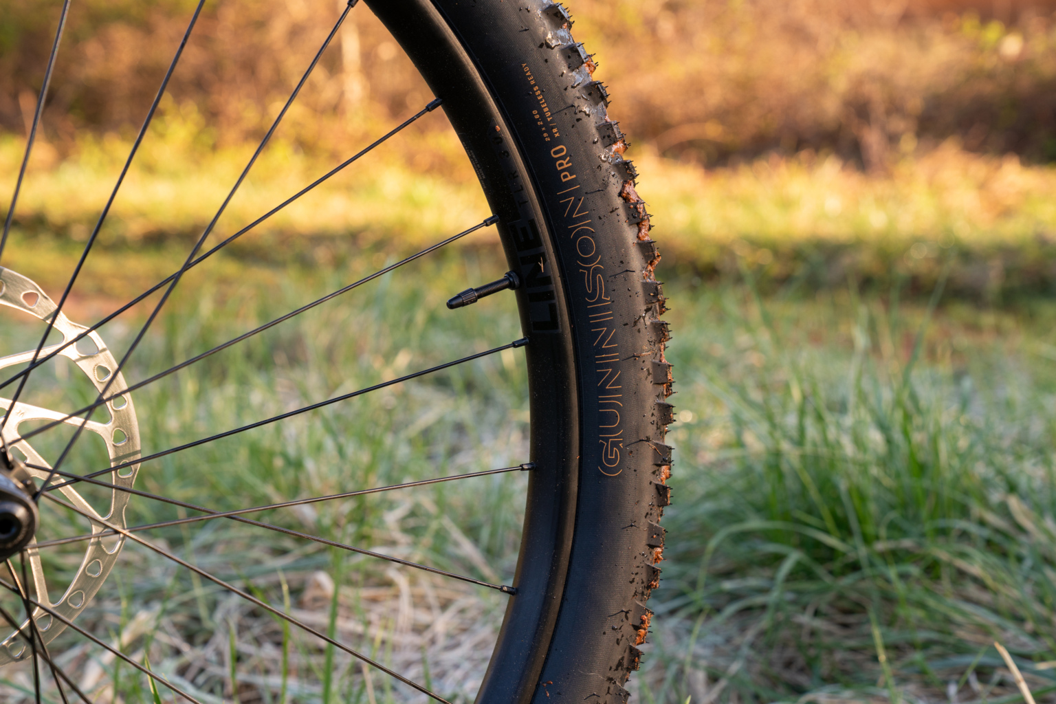 Trek Marlin+ 8 hardtail eMTB mixes business with pleasure [Review ...