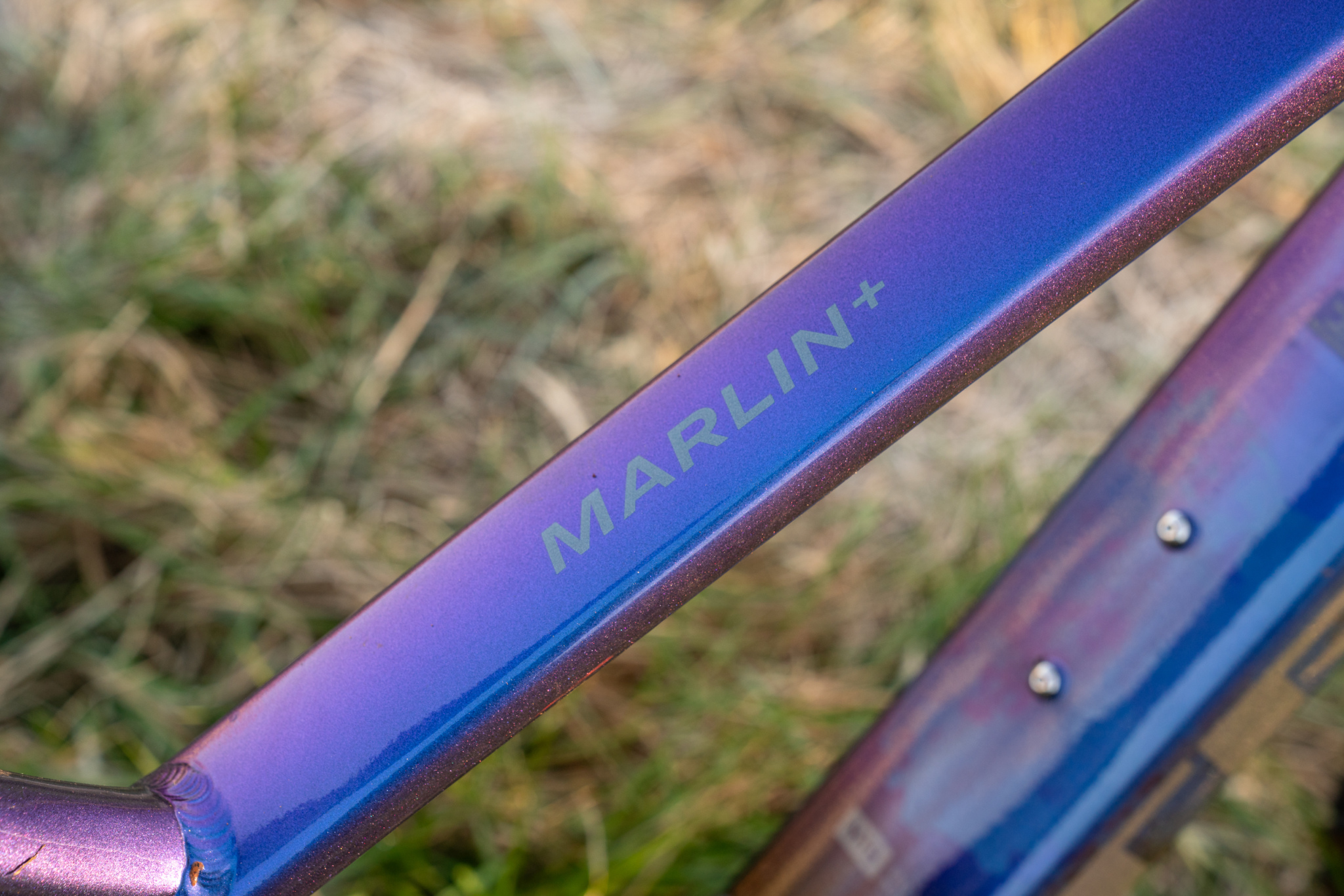Trek Marlin+ 8 hardtail eMTB mixes business with pleasure [Review ...