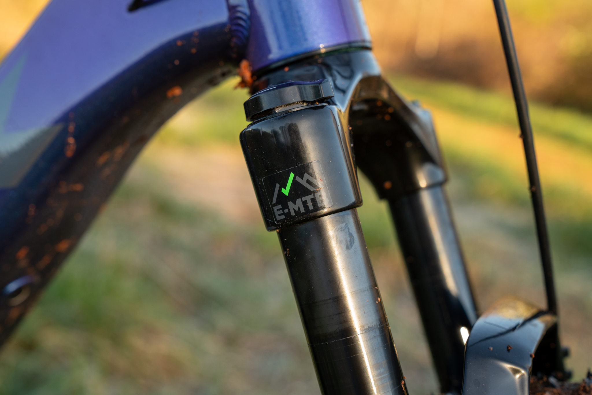 Trek Marlin+ 8 hardtail eMTB mixes business with pleasure [Review ...