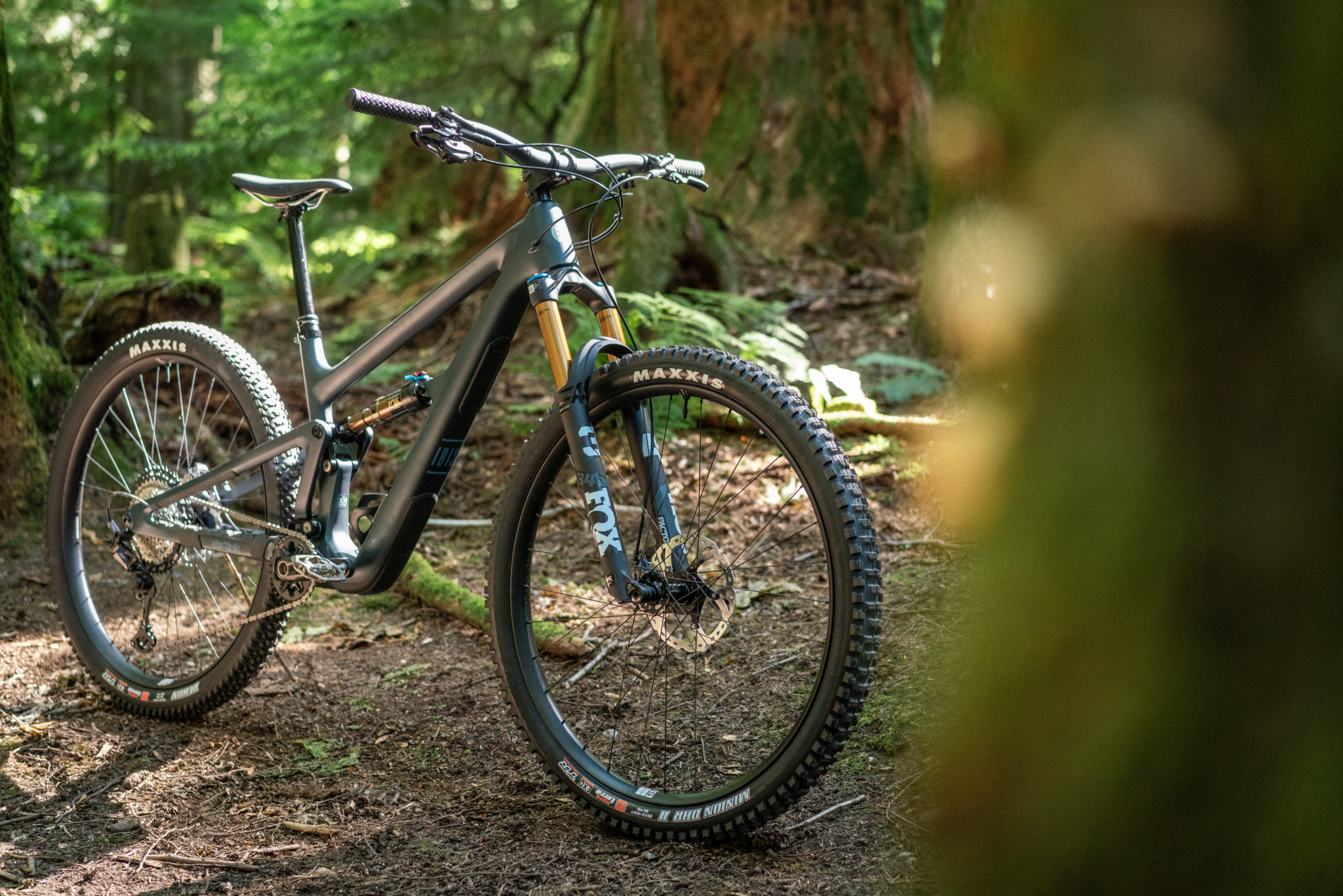 The new Ibis Ripley and Ripmo share the same frame [Review ...