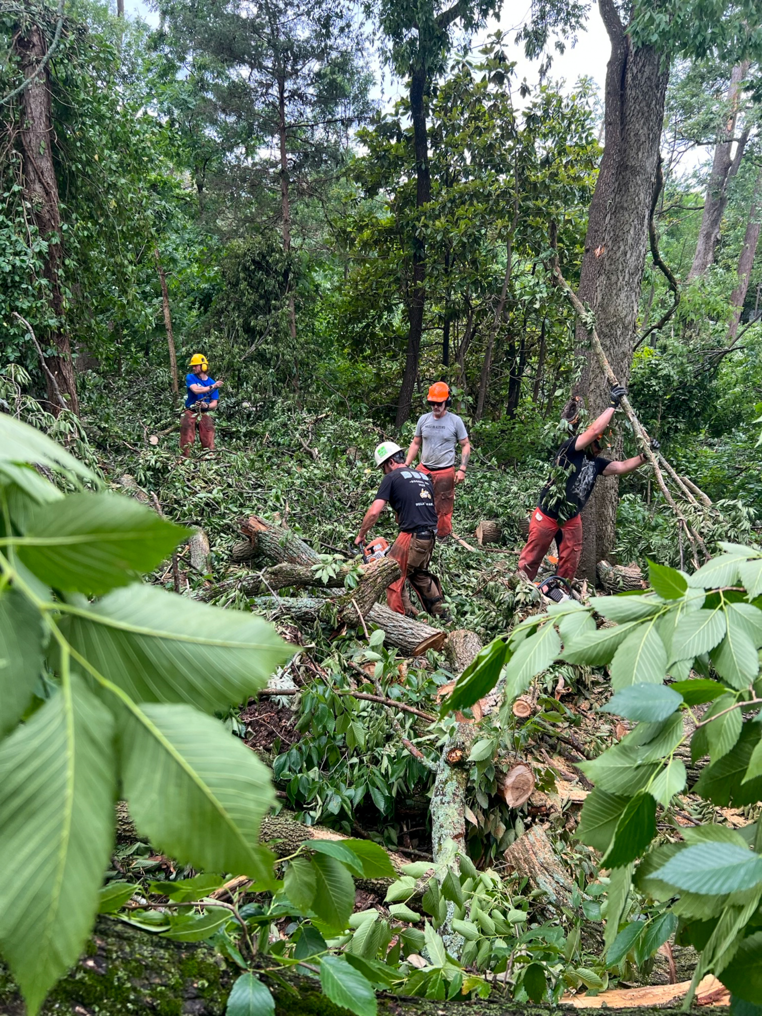 How these 3 trail towns rebuilt after natural disasters - Singletracks ...