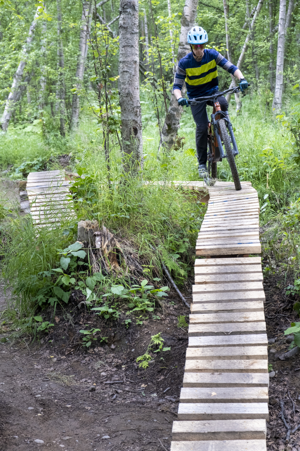 From bootlegging and prostitution to MTB trails for kids: The unlikely ...