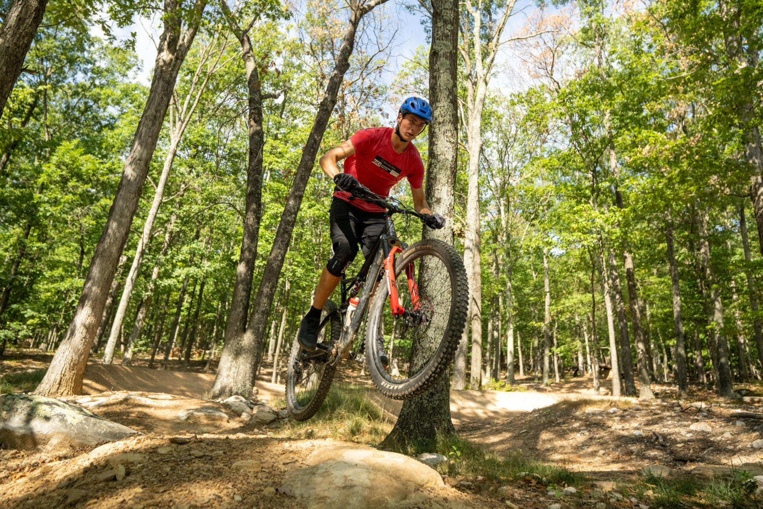 The "largest mountain bike trail project in state history" is underway ...