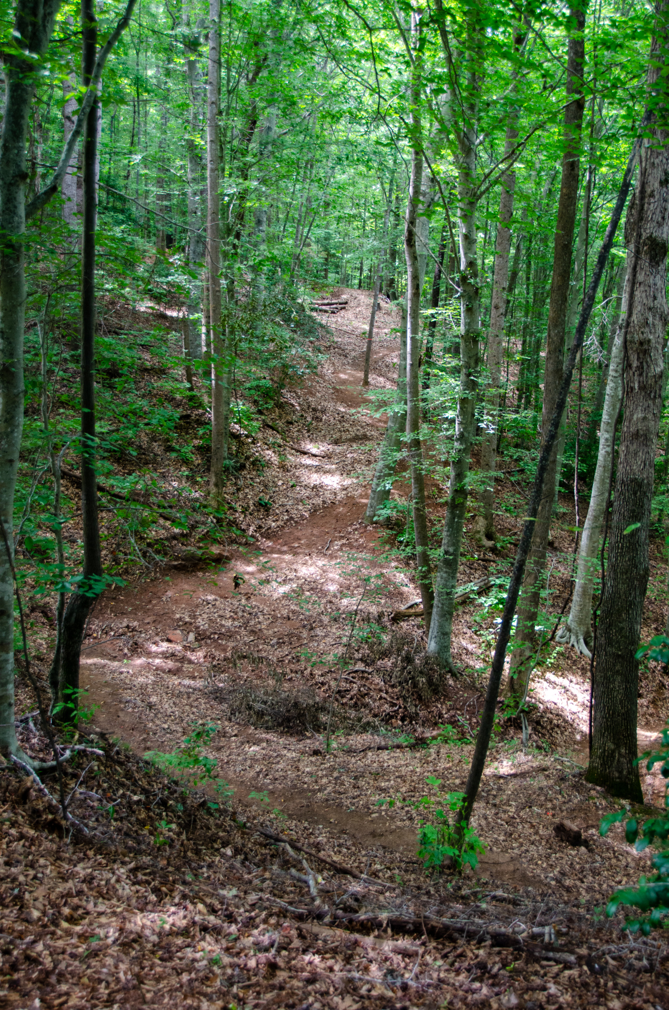 Singletrack riding from the front door: 5.5 miles of MTB trail are ...