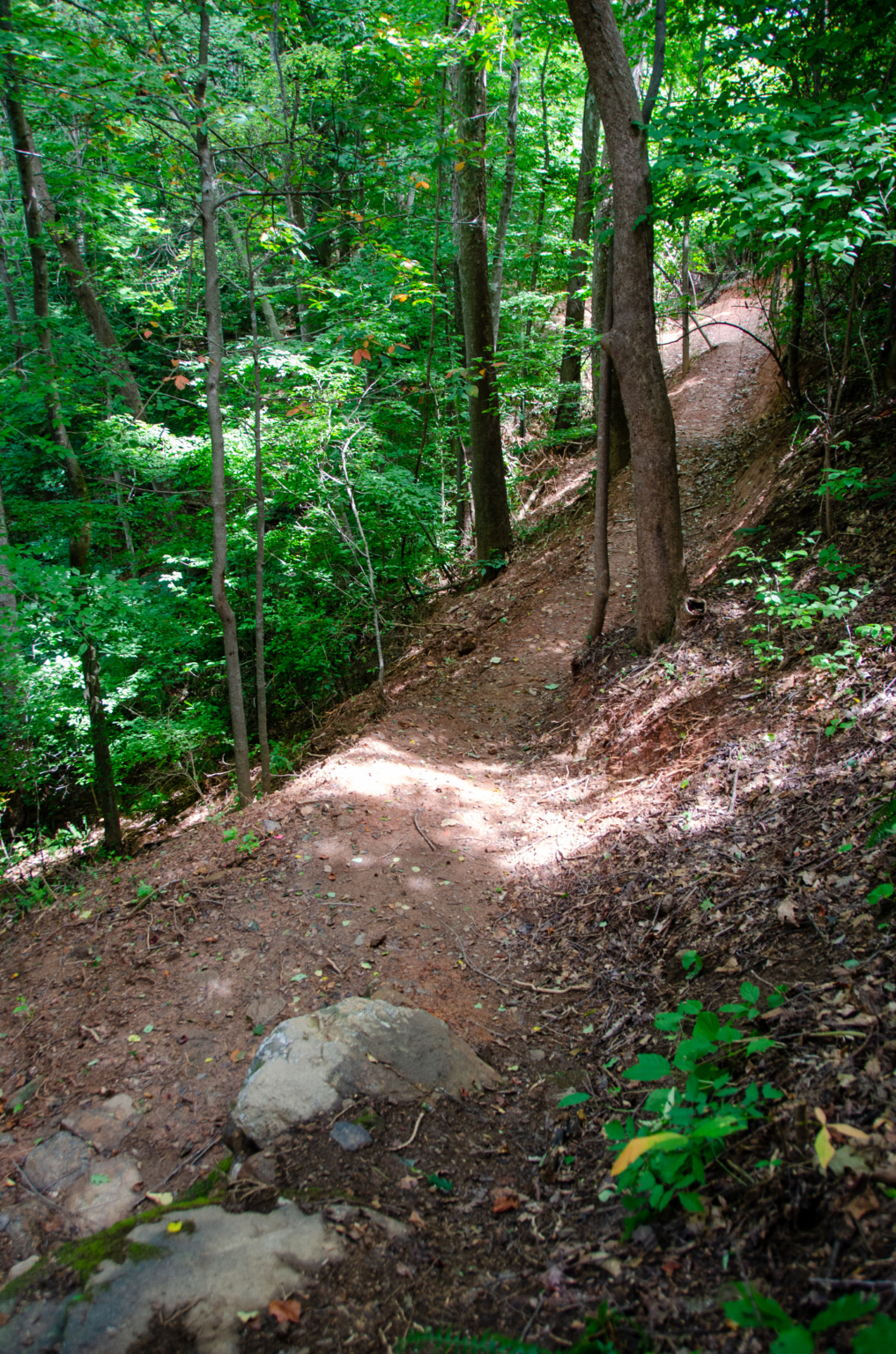 Singletrack riding from the front door: 5.5 miles of MTB trail are ...