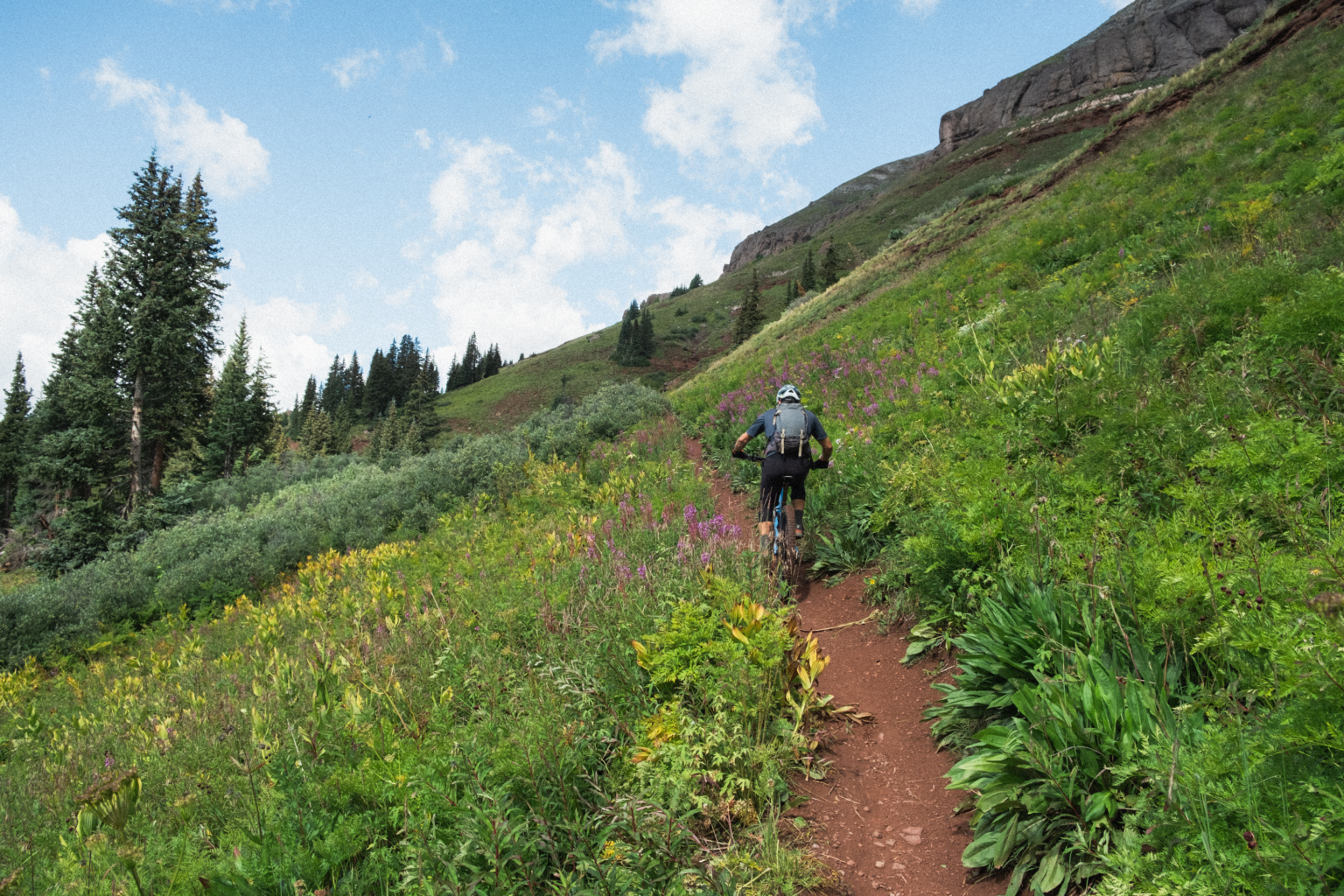Embrace your primal nature: Why we should all be a little more wild ...