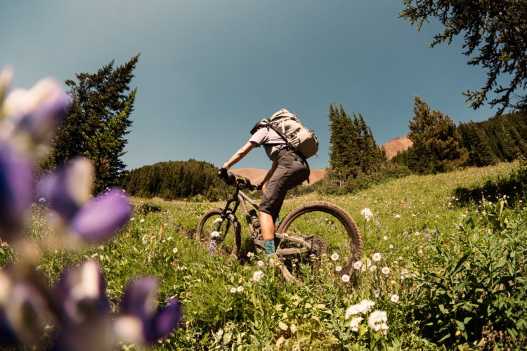 Cellphone free MTB: A true backcountry adventure in British Columbia's ...
