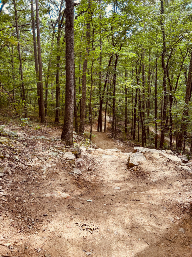 The ambitious Trails at Mena project is underway with newly-built ...