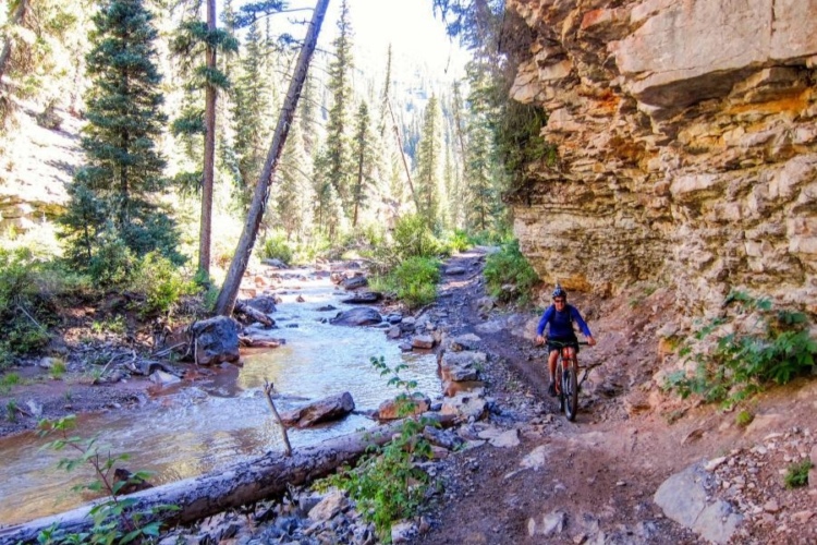 Mountain Biking Destinations - Singletracks Mountain Bike News