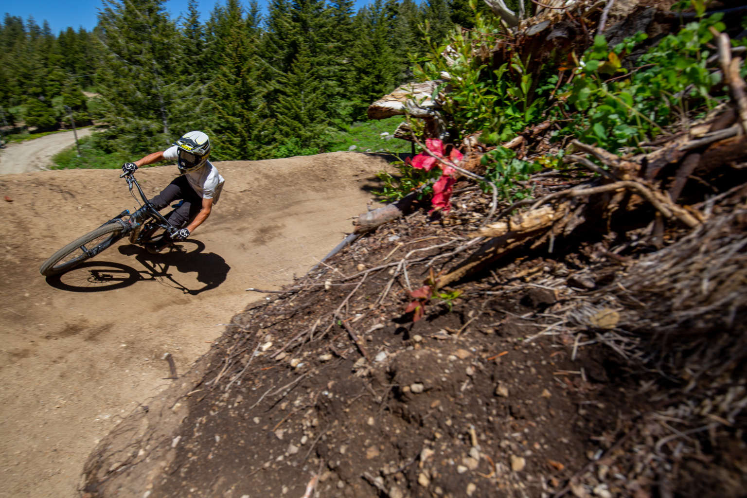 Bogus Basin is Boise’s bike park. Literally — they own it ...