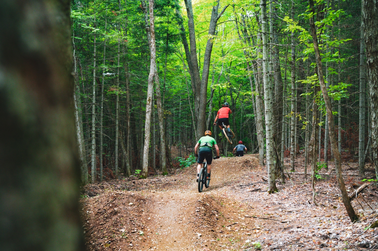 Sault Ste. Marie is "Ontario's BC." Here's how to ride these under the ...