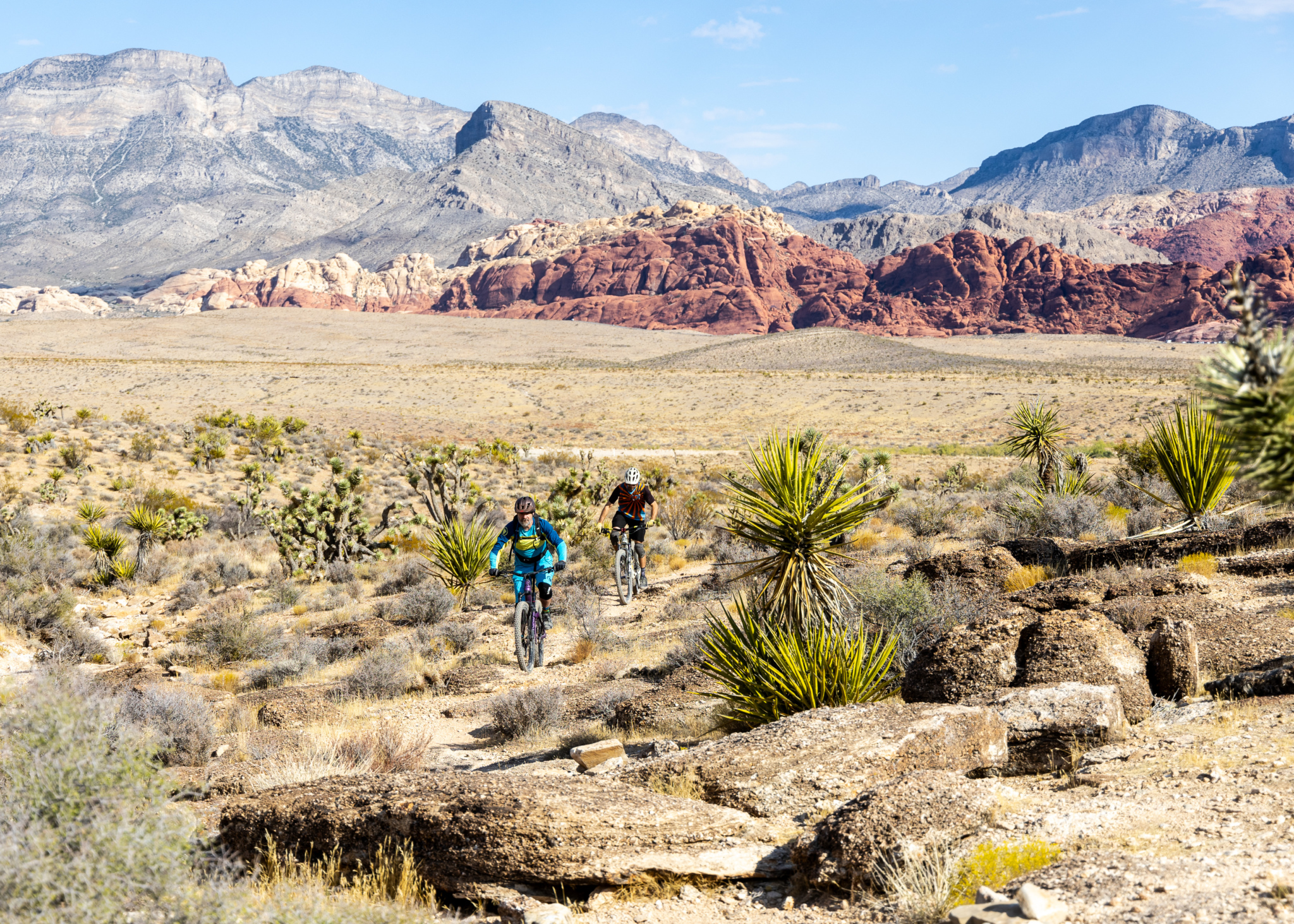 Spin the wheel and pray: Does Las Vegas pay out as a mountain bike ...