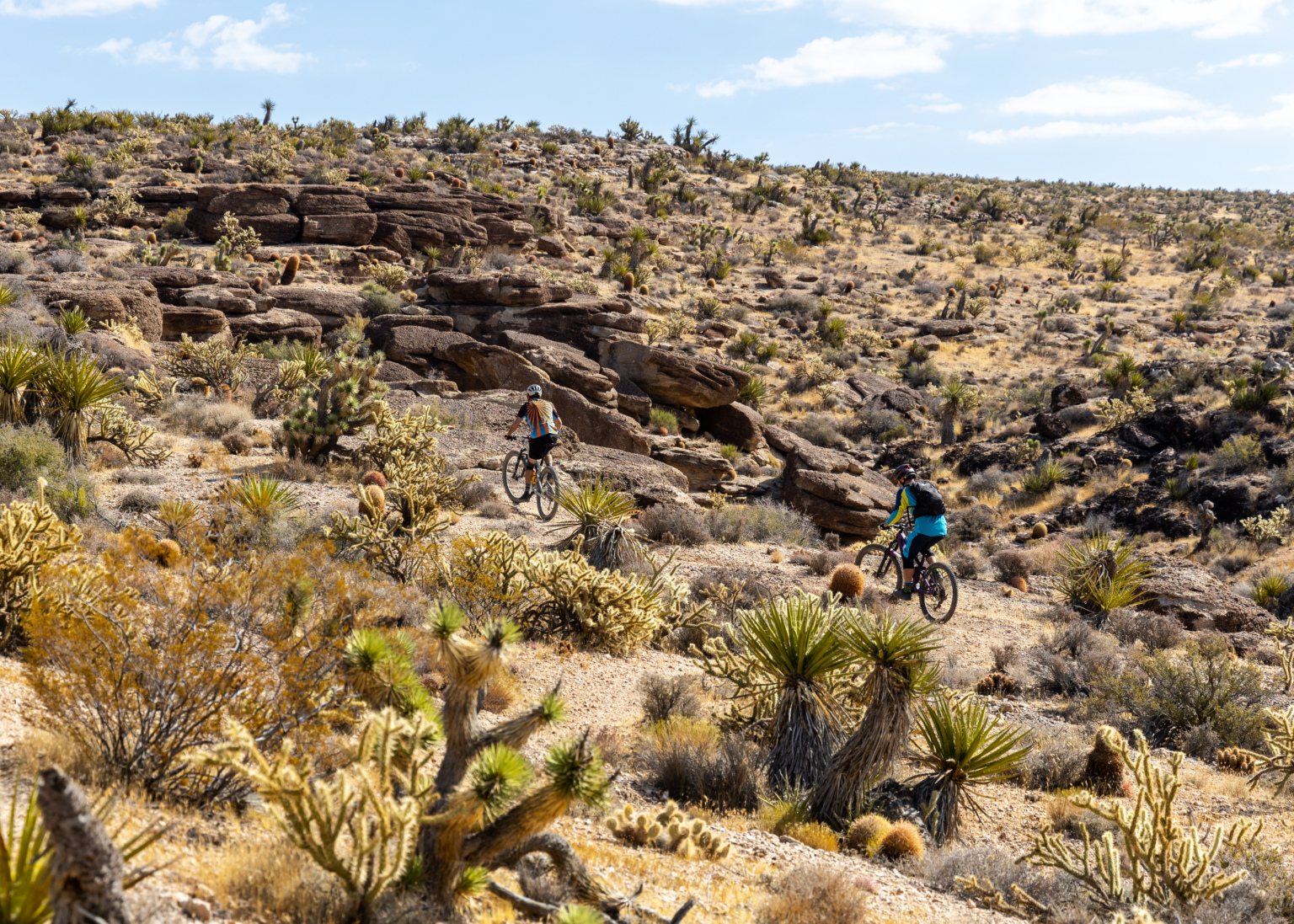Spin the wheel and pray: Does Las Vegas pay out as a mountain bike ...