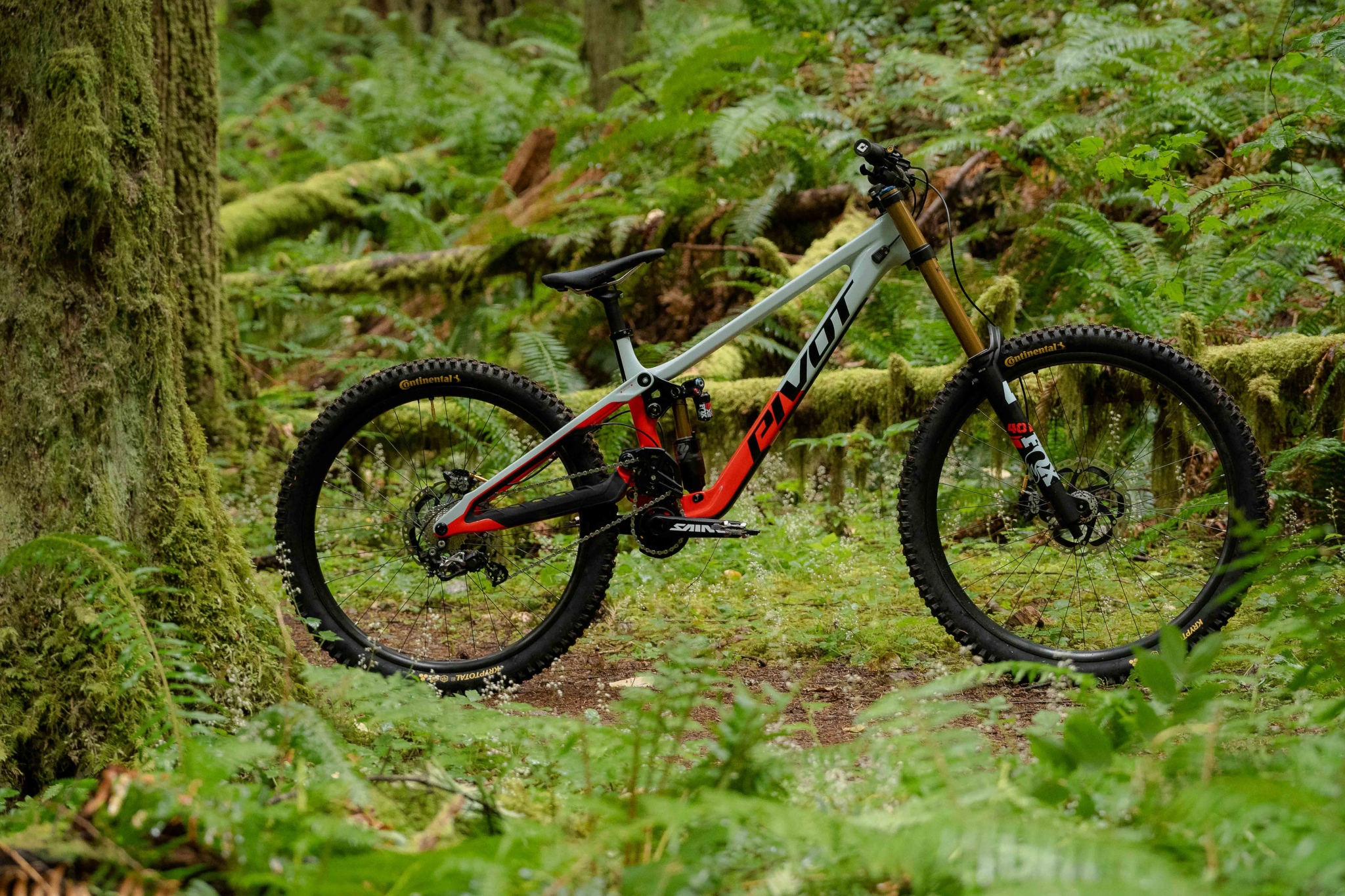 Updated MTBs from Pivot, Orbea, and Moustache plus an ENVE gravel bike ...