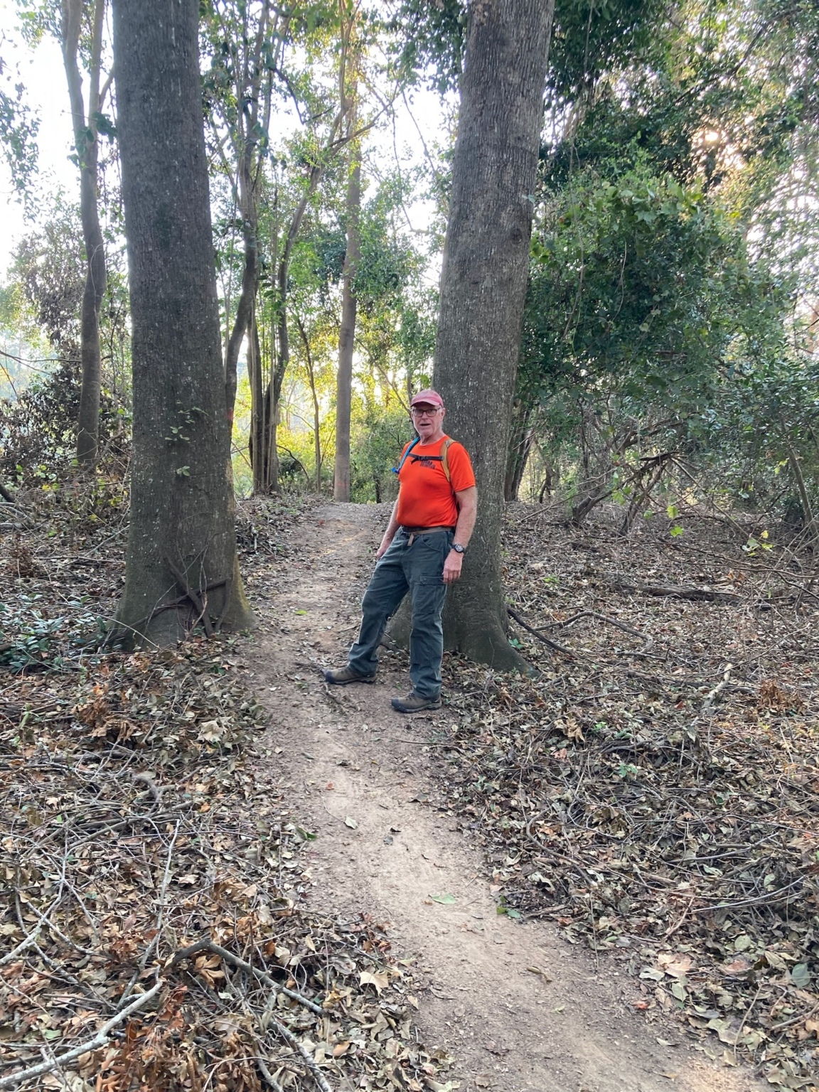501 trees cleared to open just one 3-mile trail in Augusta, GA after ...