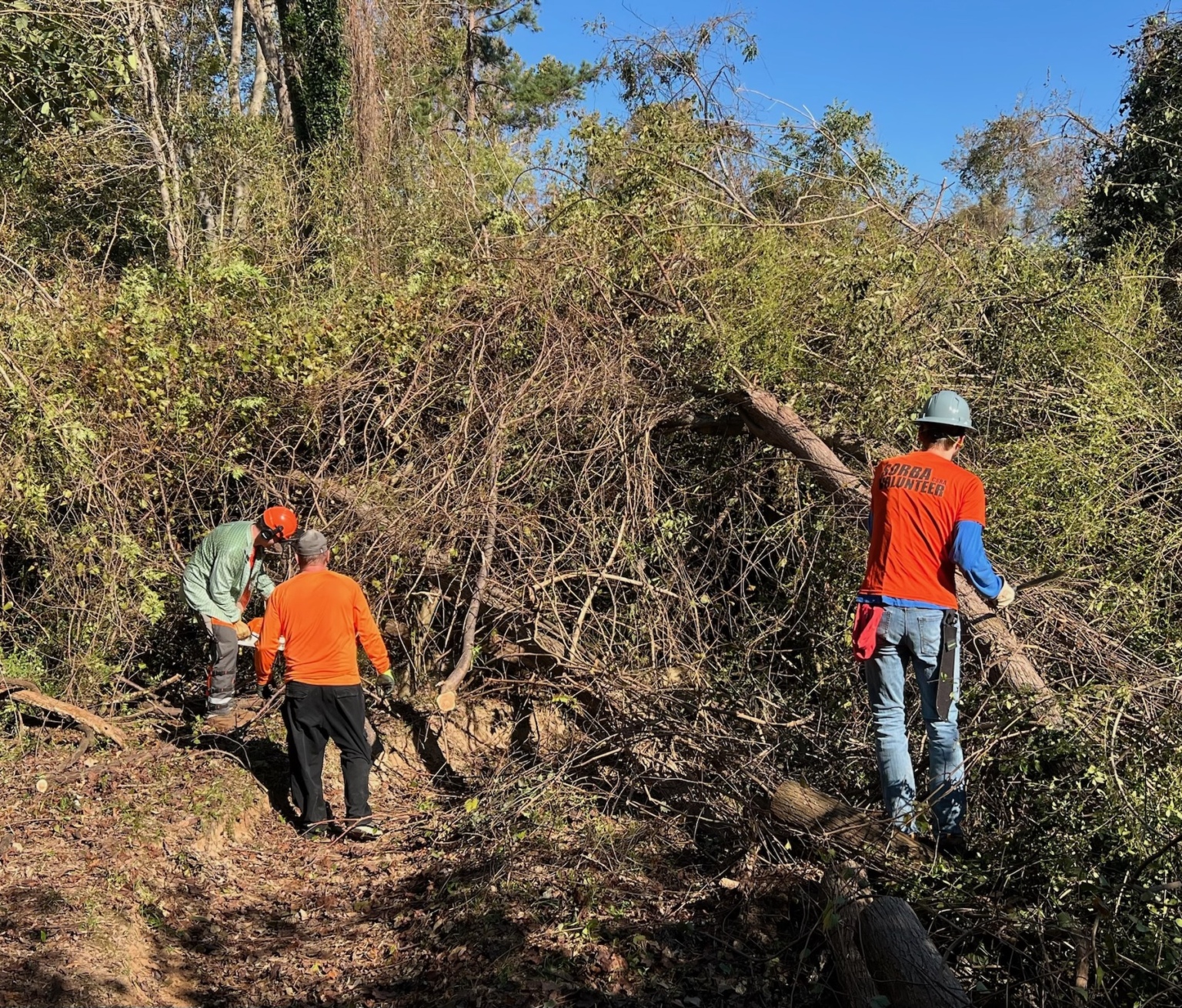 501 trees cleared to open just one 3-mile trail in Augusta, GA after ...