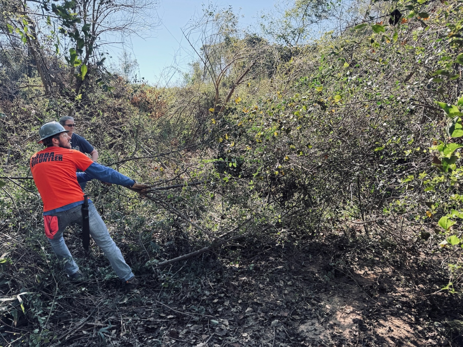 501 trees cleared to open just one 3-mile trail in Augusta, GA after ...