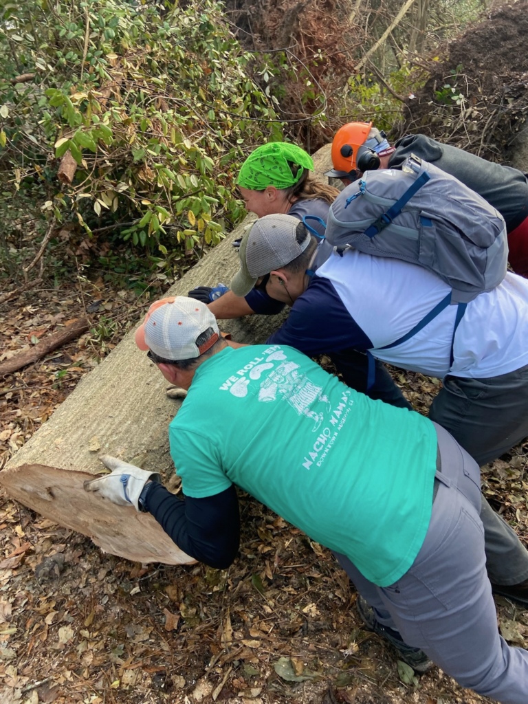 501 trees cleared to open just one 3-mile trail in Augusta, GA after ...