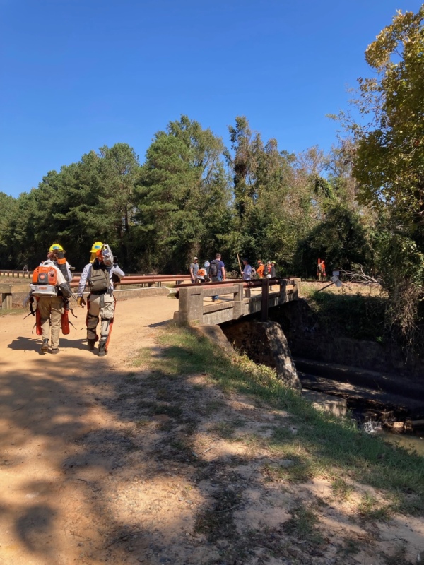 501 trees cleared to open just one 3-mile trail in Augusta, GA after ...