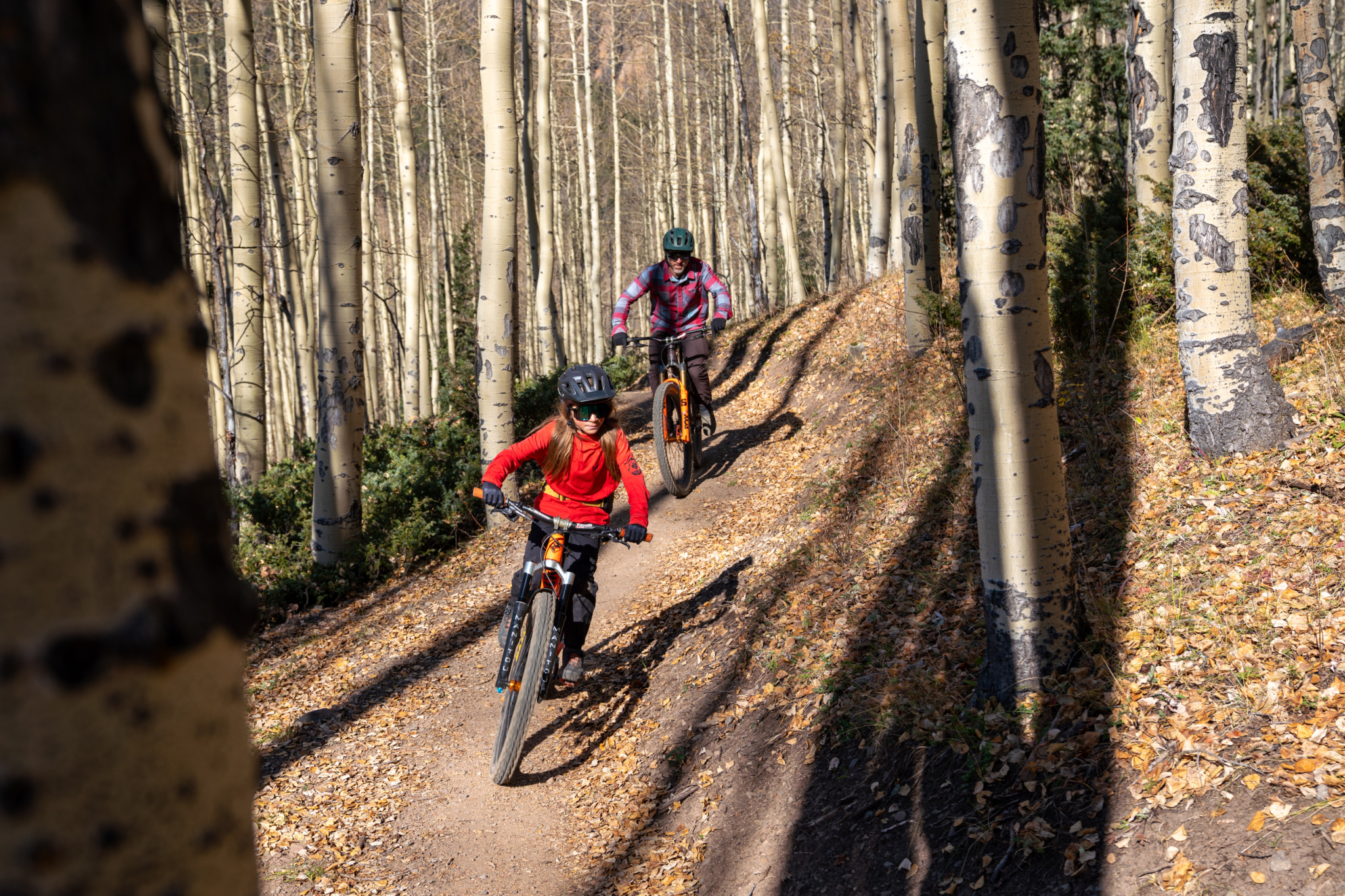 Machine-built downhill flow trails in the high mountains of Colorado ...