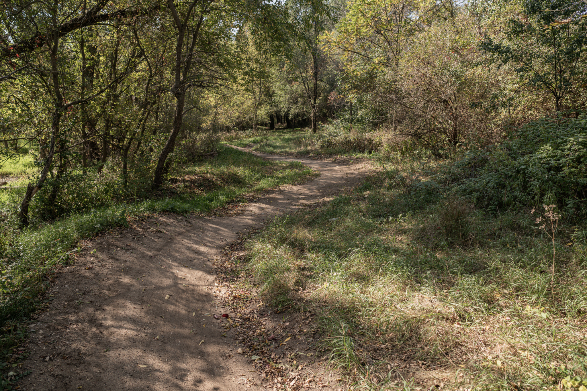 A $13 million urban trail system with MTB as its focal point has just ...