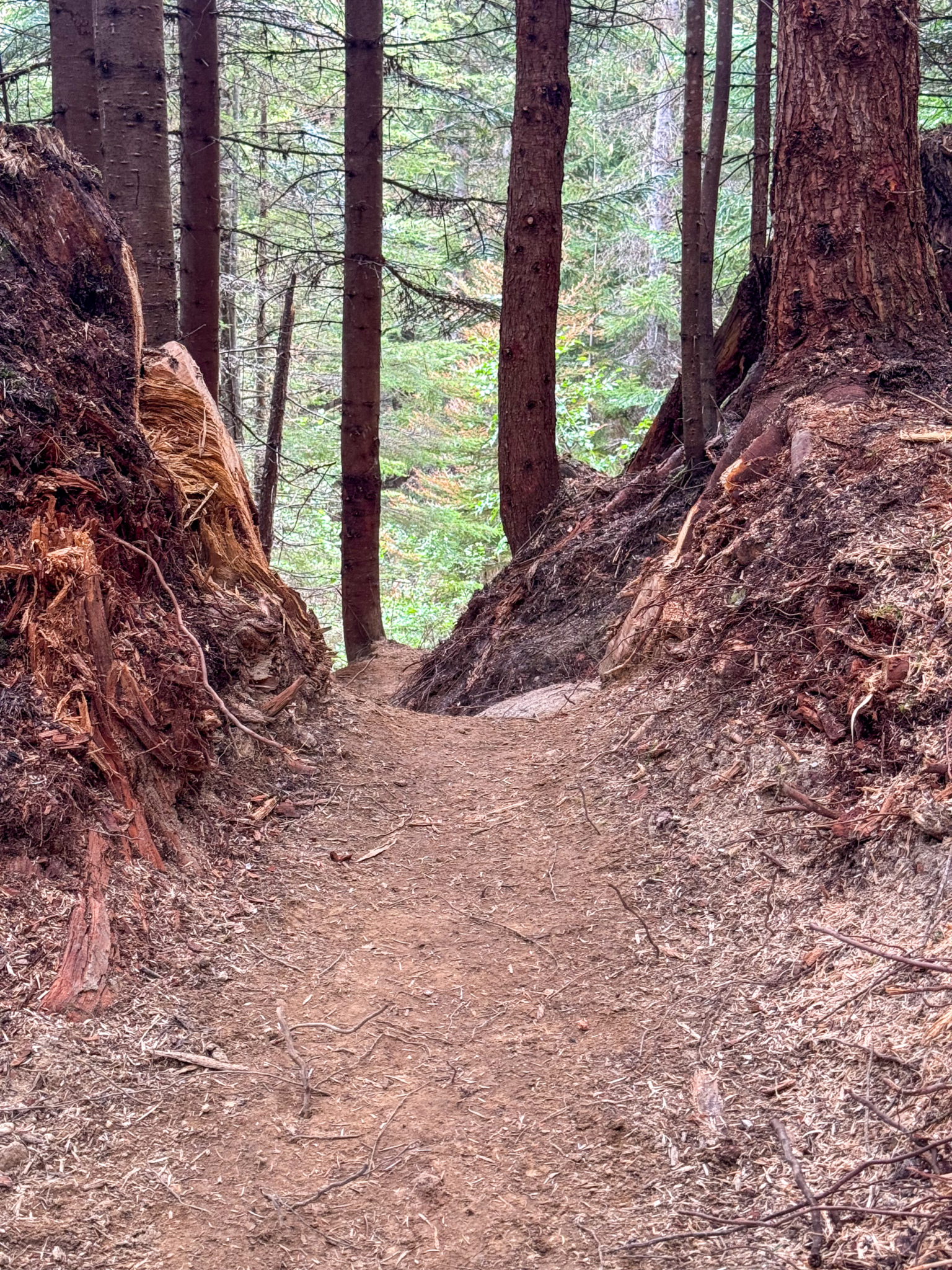 A gnarly hand-built shuttle trail is set to open in a small British ...