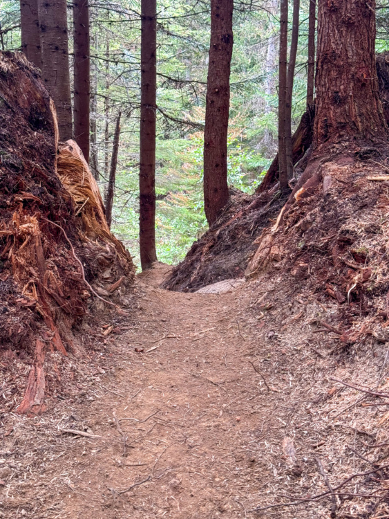 A gnarly hand-built shuttle trail is set to open in a small British ...