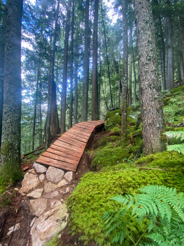 A gnarly hand-built shuttle trail is set to open in a small British ...