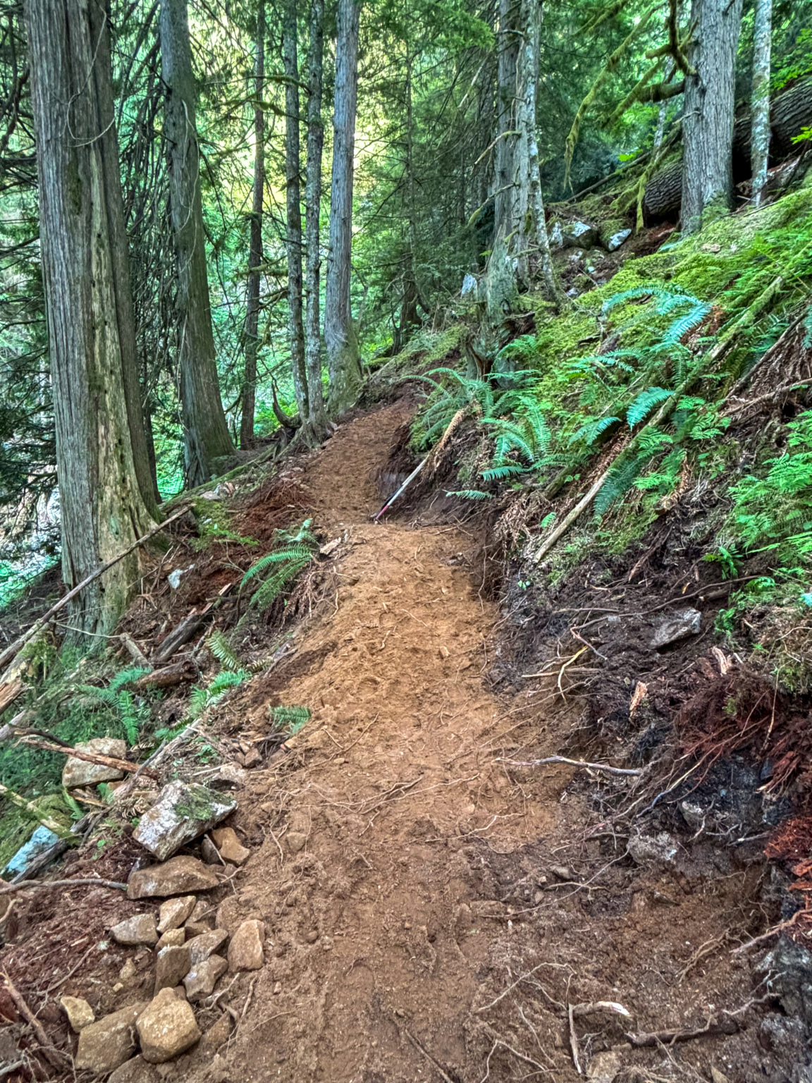 A gnarly hand-built shuttle trail is set to open in a small British ...