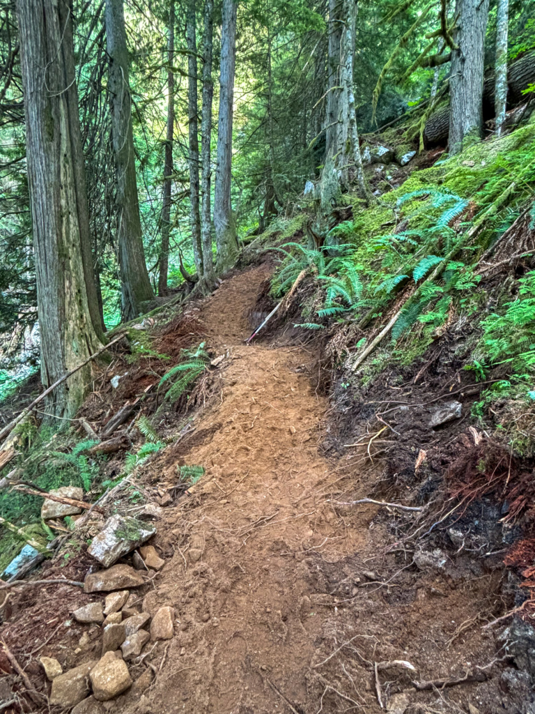 A gnarly hand-built shuttle trail is set to open in a small British ...