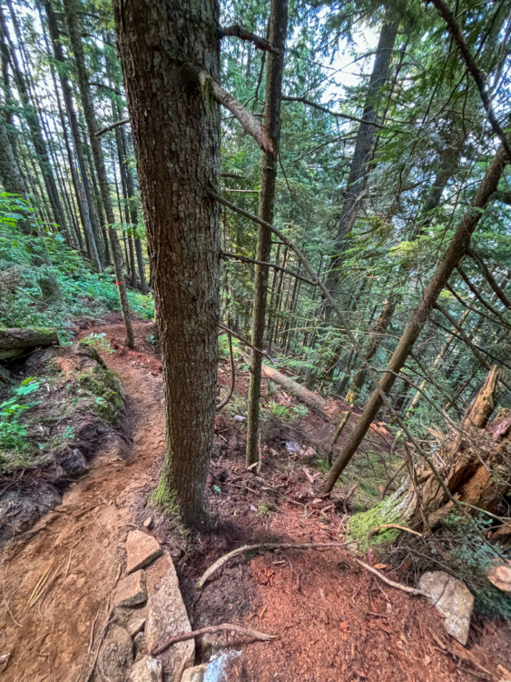 A gnarly hand-built shuttle trail is set to open in a small British ...