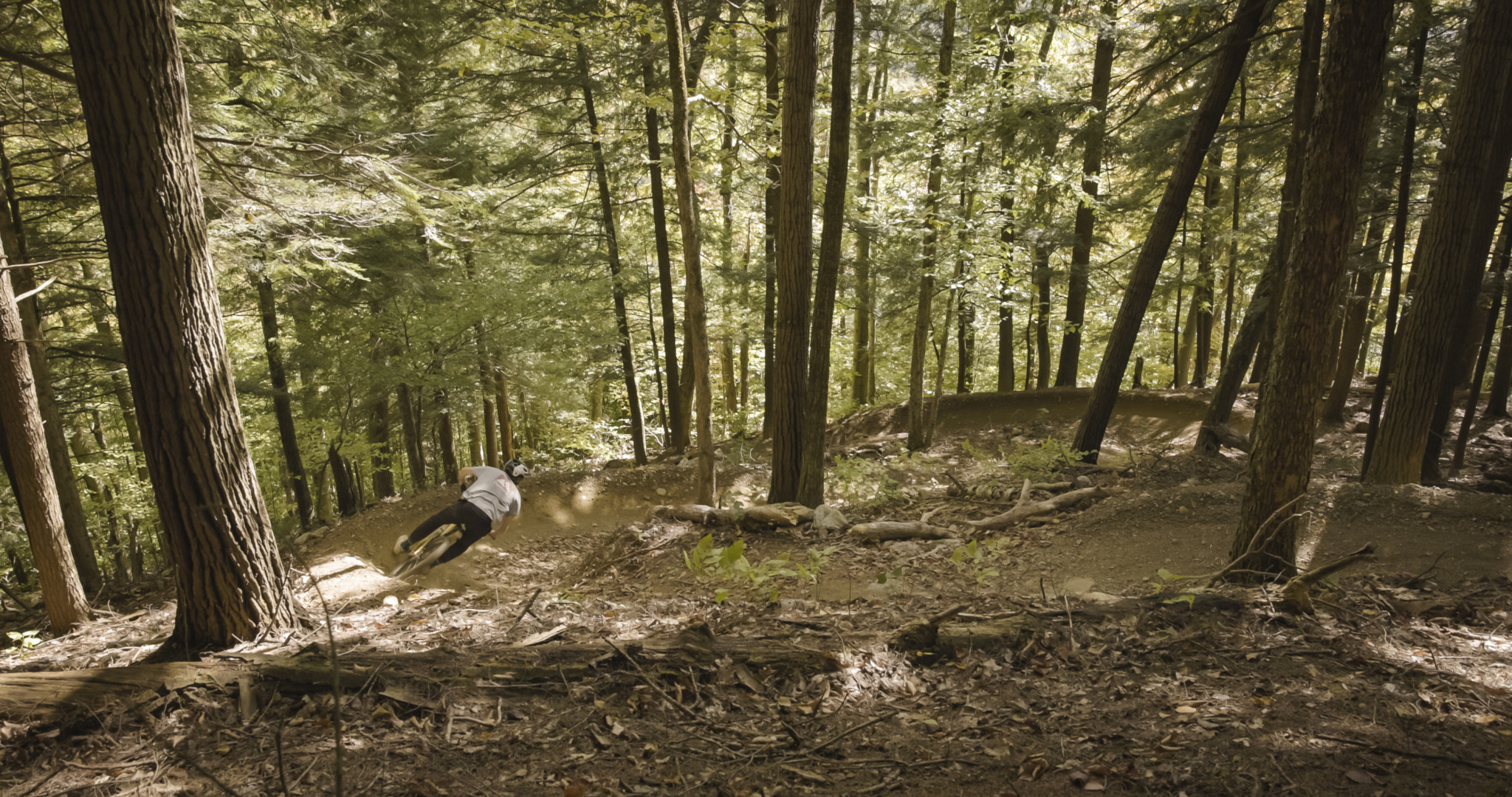 Is this the first fully-adaptive MTB trail network in the world ...