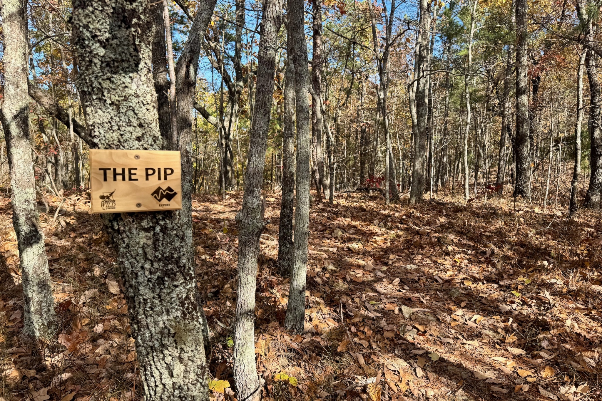 The Pip Mountain Bike Trail in Anniston, Alabama - Directions, Maps ...