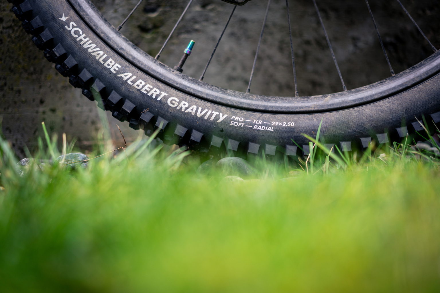 Schwalbe Albert MTB tires boast "30% more contact area than ...