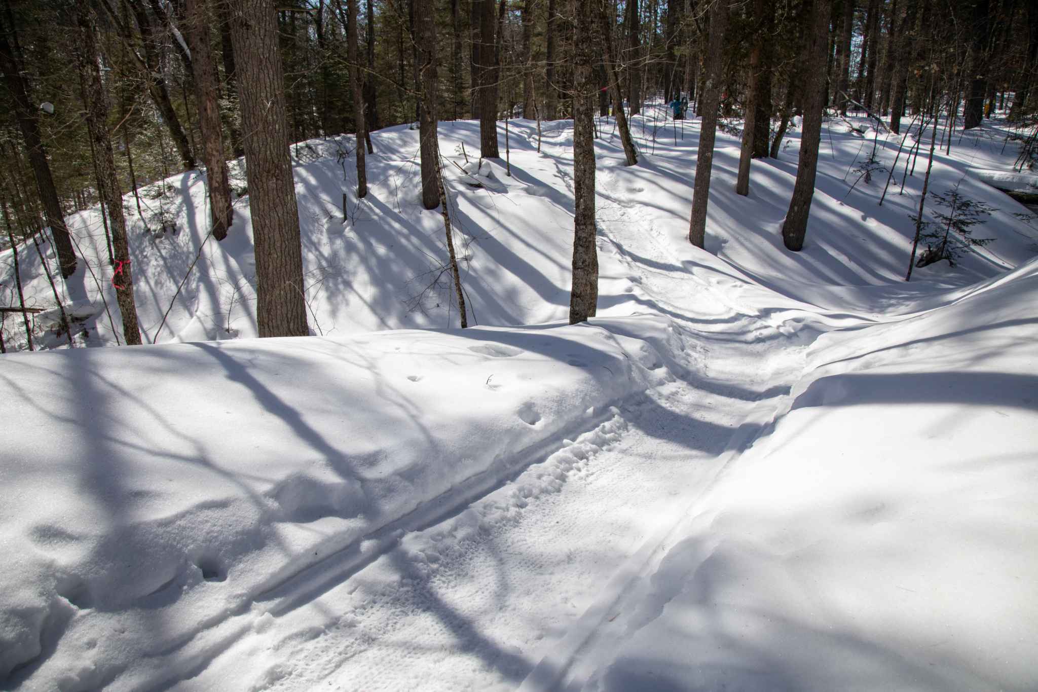 Biking big berms and rowdy drops... in the winter?! Sault Ste. Marie is ...