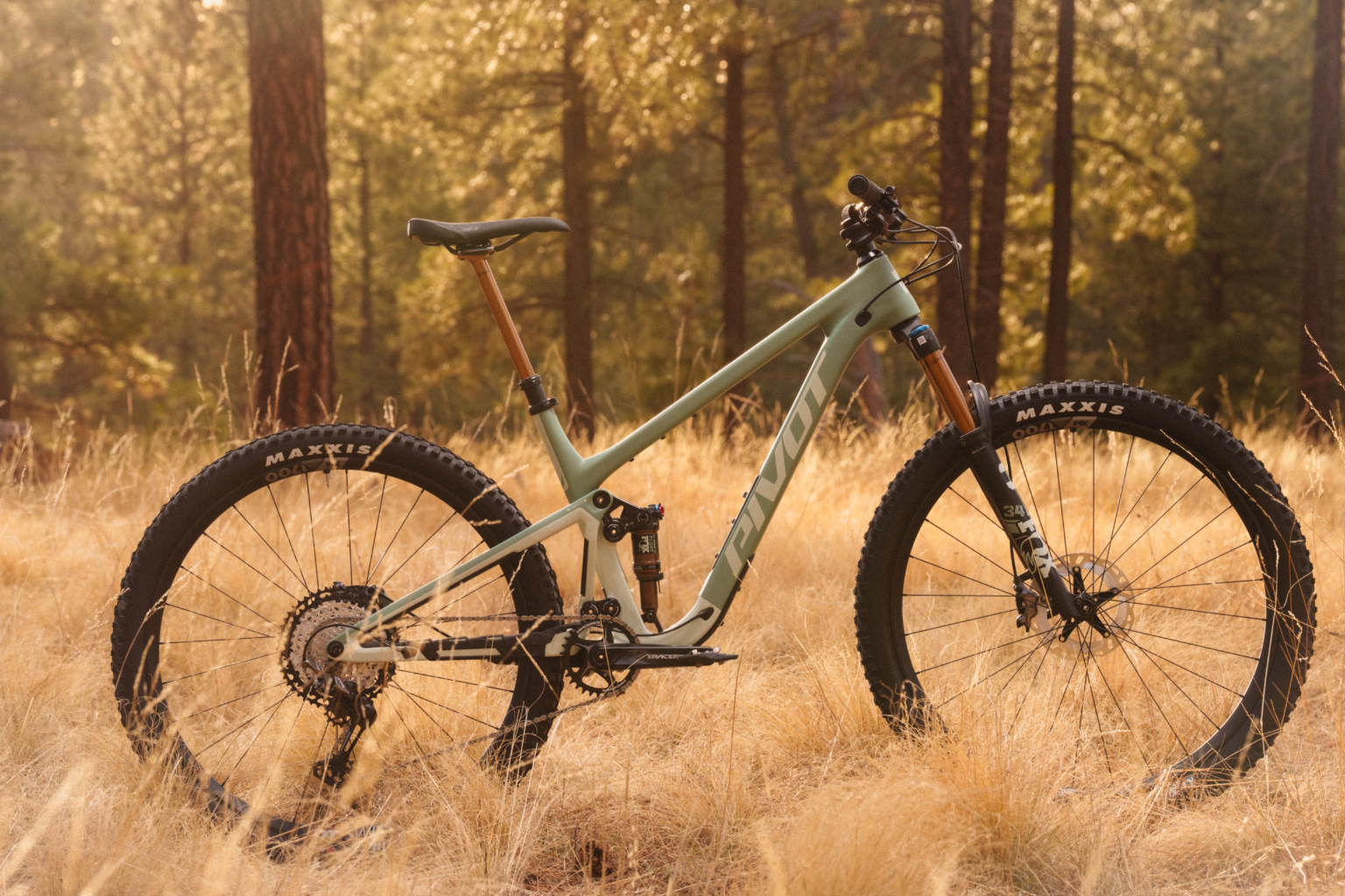 New Pivot MTB shows us where 2025 trail bikes are headed - Singletracks ...